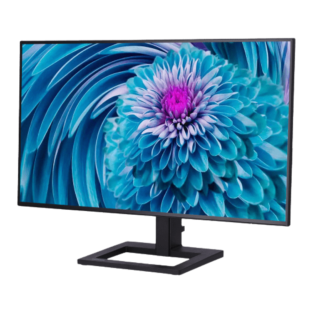 (Monitor)Philips 242E2FE/67 24"